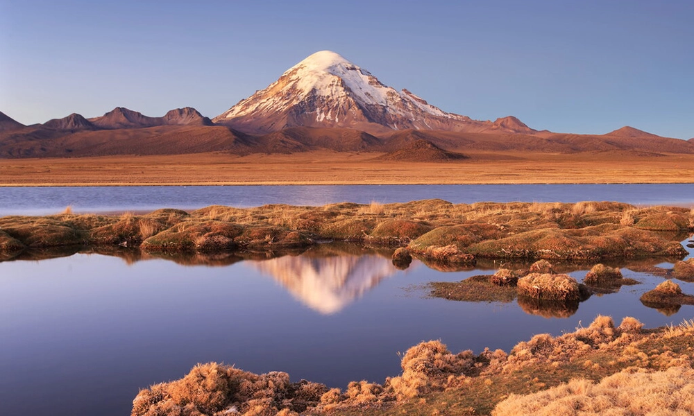 Sajama Mountain - Uyuni Experience